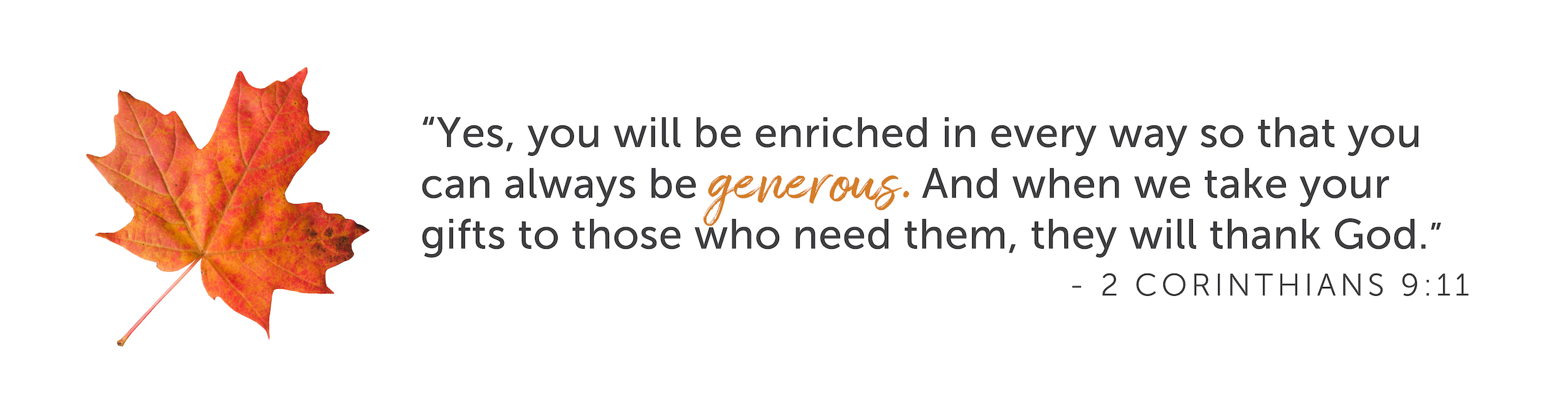 Downloads - CWS Blankets